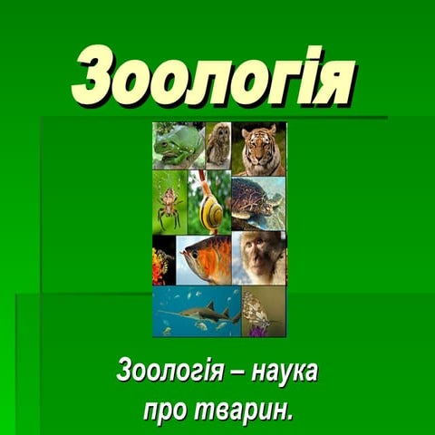 21733-prezentaciya-na-temu-zoologiya.ppt