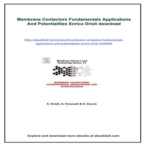 Membrane Contactors Fundamentals Applications And Potentialities Enrico ...