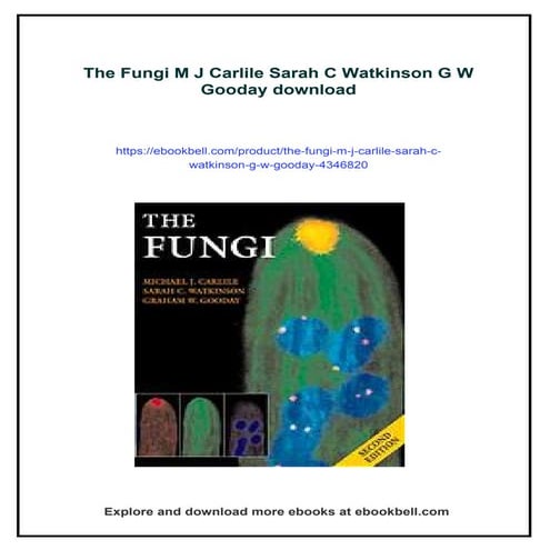 The Fungi M J Carlile Sarah C Watkinson G W Gooday | PDF