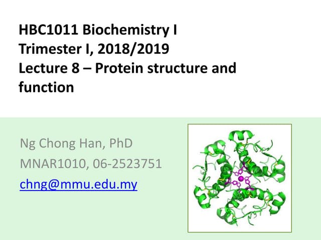 Forces that stablise protein structure | PPTX