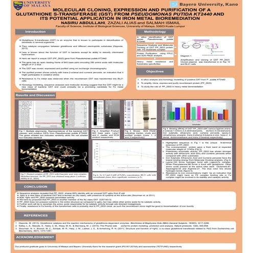 MSBMB 2016 conference poster | PDF