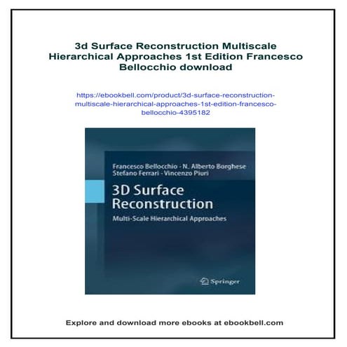 3d Surface Reconstruction Multiscale Hierarchical Approaches 1st Edition Francesco Bellocchio | PDF