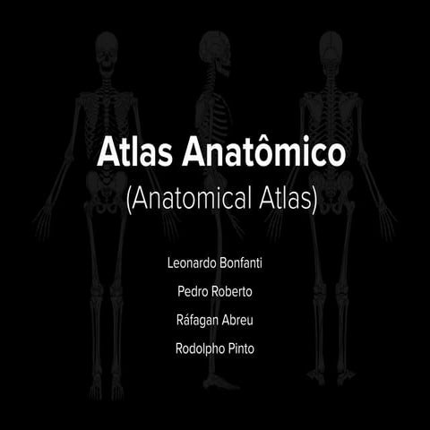 Anatomical Atlas Keynote | PDF