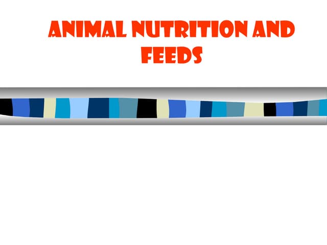 The carbohydrates in animal nutrition | PPTX | Chemistry | Science