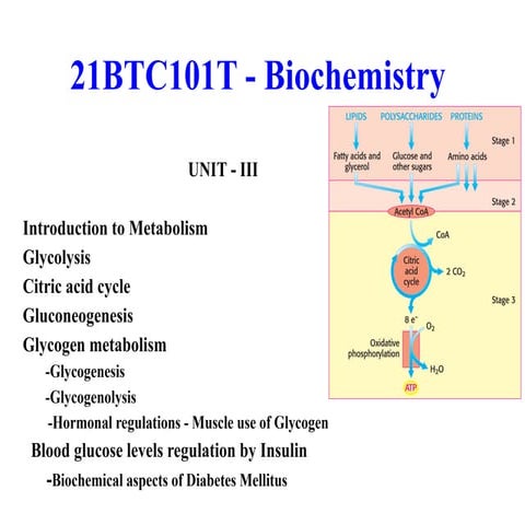 21BTC101T - Biochemistry -Unit - III (1).pptx