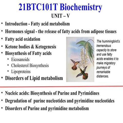 21BTC101T - Biochemistry -Unit - V.pptxx | PPTX