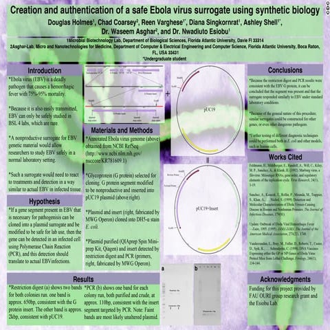 Ebola Poster | PDF