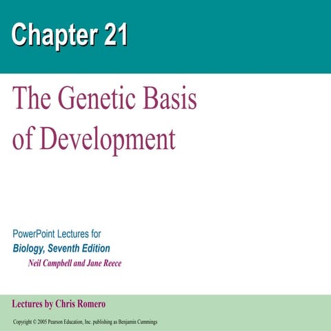 21_GENETIC_BASIS_OF_DEVELOPMENT_ppt (1).ppt