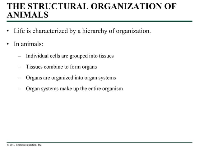Animal organ systems | PPTX