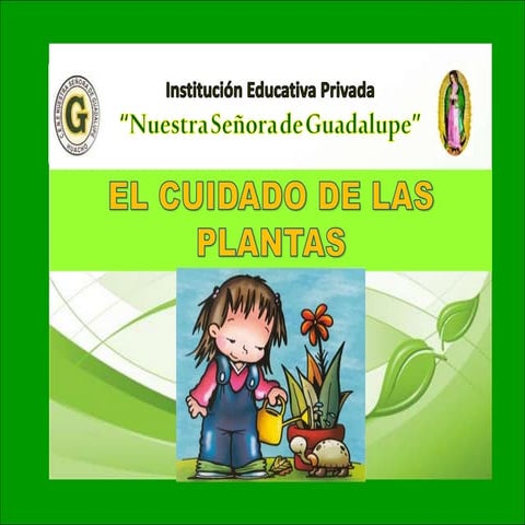 21 necesidades de las plantas | PPTX