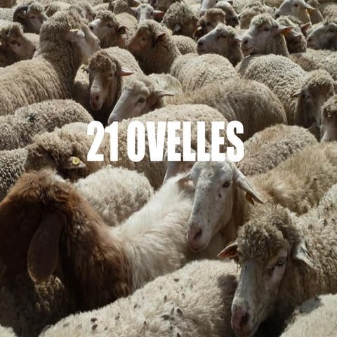 21 ovelles | PPT