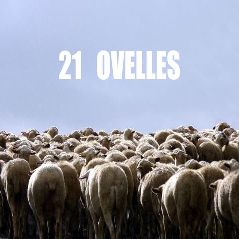 21 ovelles | PPT