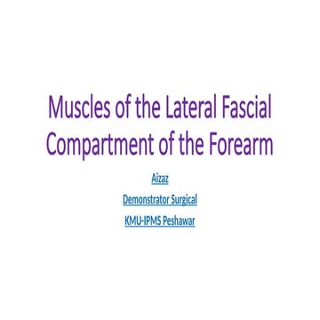 21 The lateral muscle of forearm ........ | PPTX