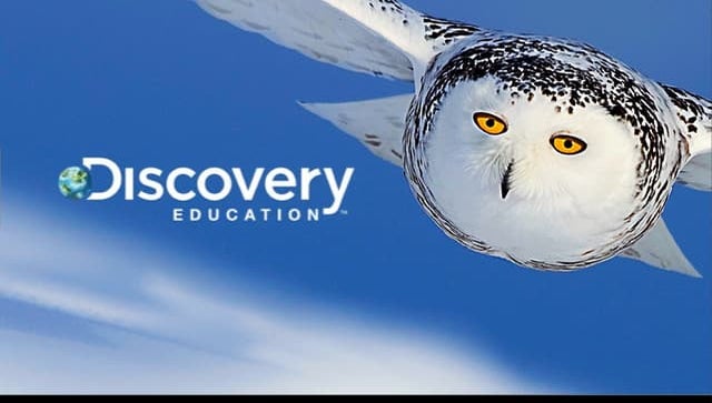 Discovery Education App Logo