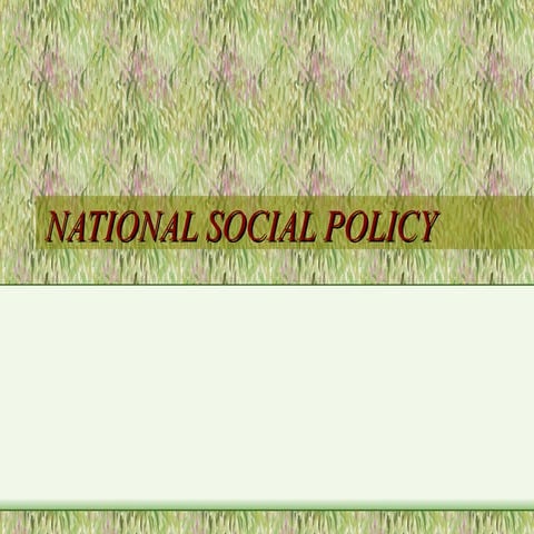 22. social policy | PPT
