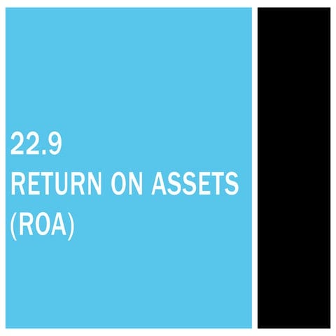 22.9 Return on Assets (ROA) | PPTX