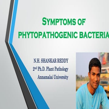 Symptoms of phytopathogenic bacteria | PDF