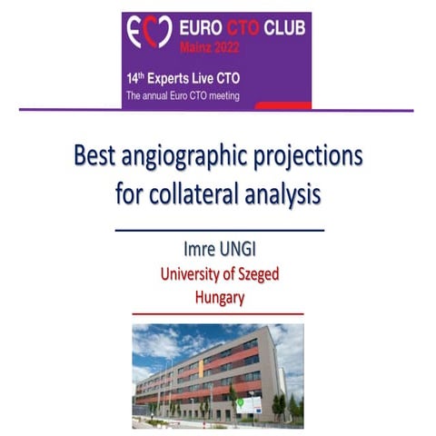 Imre Ungi: Best angiographic projection for collateral analysis | PPTX