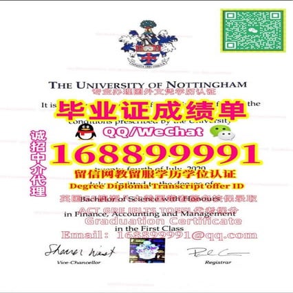 英国UoN文凭 | PDF