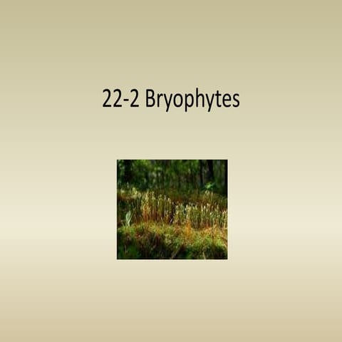 CONSERVATION OF BRYOPHYTES AND FOSSIL BRYOPHYTES | PPTX