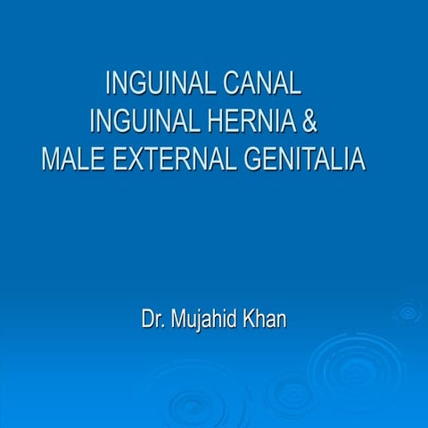22 Inguinal Canalppt