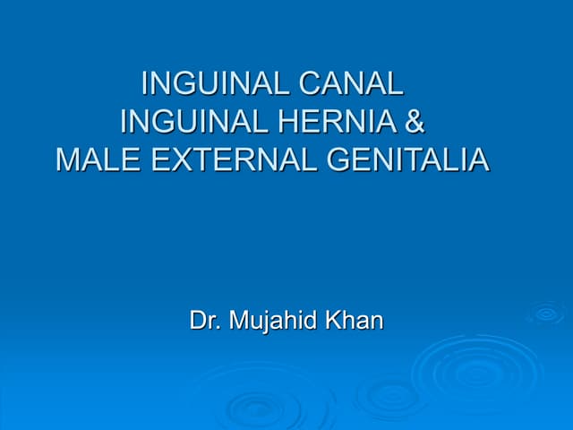 22 Inguinal Canalppt
