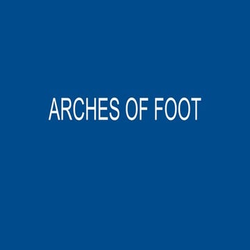Anatomy PPT- Arches Of Foot (With Pictures) | PDF