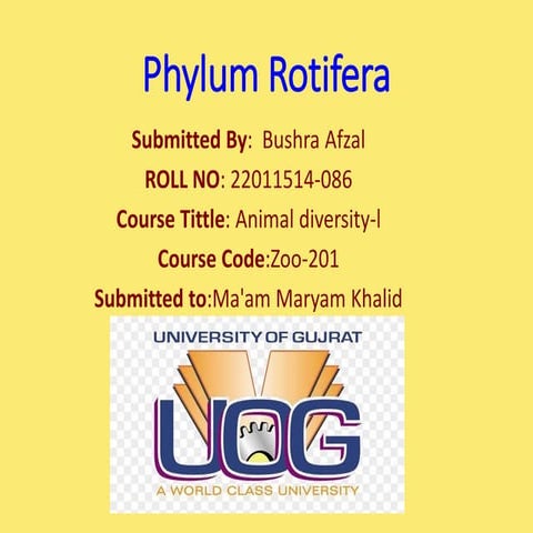 Rotifers | PPT