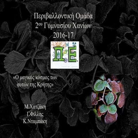 2ο γυμνάσιο χανιων 2017 | PDF