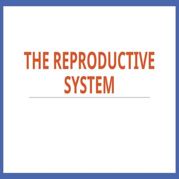 Synonymous application on reproductive system | PPTX