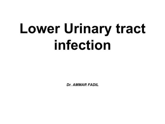 URINARY TRACT INFECTION WPS Office. Pptx | PPT