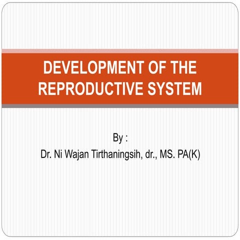 Development of the reproductive system.pptx