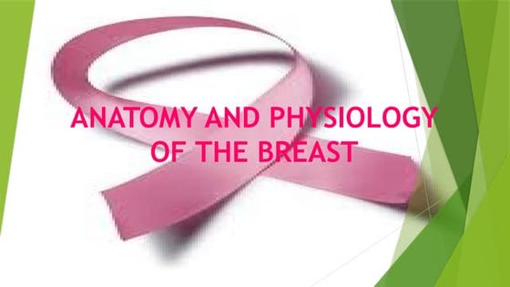 Anatomy of the Breast.pptx | Medical Health