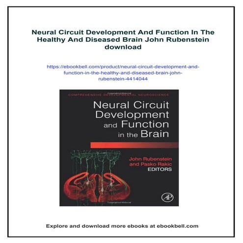 Neural Circuit Development And Function In The Healthy And Diseased Brain John Rubenstein | PDF