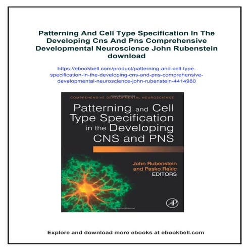 Patterning And Cell Type Specification In The Developing Cns And Pns ...