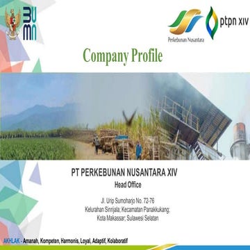 Company Profile PT Perkebunan Nusantara XIV | PPTX