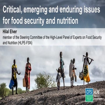 HLPE-FSN note on Critical, emerging and enduring issues for food ...