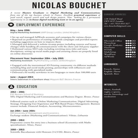 CV Nicolas Bouchet Linkedin | PDF