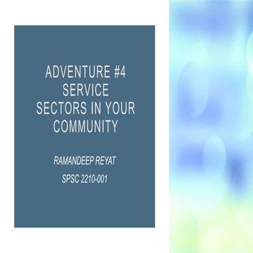 2210 adventure #4-Ramandeep Reyat | PPTX | Non-Profit Organizations ...