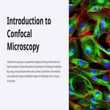confocal microscopy cell image segm.pptx