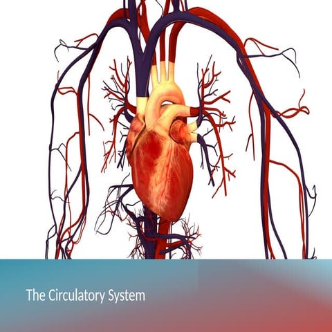 222179833 Circulatory_System_Presentation.pptx