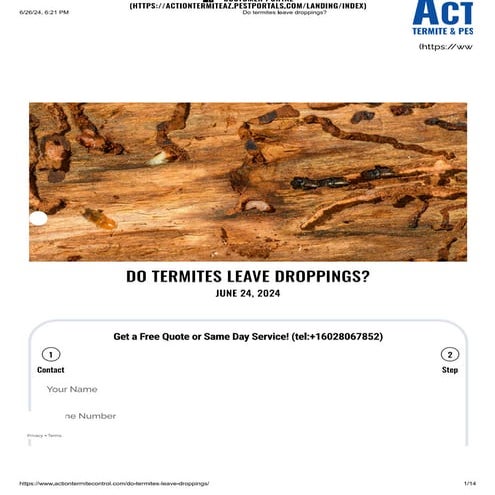 Understanding Termite Droppings: What is Termite Frass? | PDF