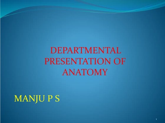 Prawn respiratory system,Types of gills,structure of gill plates ...