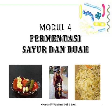 223446670-Modul-4-Fermentasi-Sayur-Dan-Buah.pptx