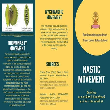 Nastic movement | PDF