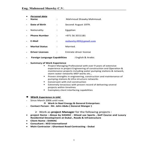 Mahmoud CV 2015 | PDF