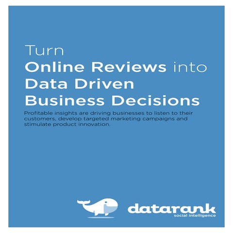 Turn Online Reviews into Data Driven Business Decisions-2 | PDF