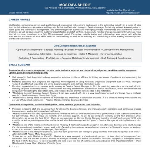 Mostafa, Sherif - CV (2016) | PDF