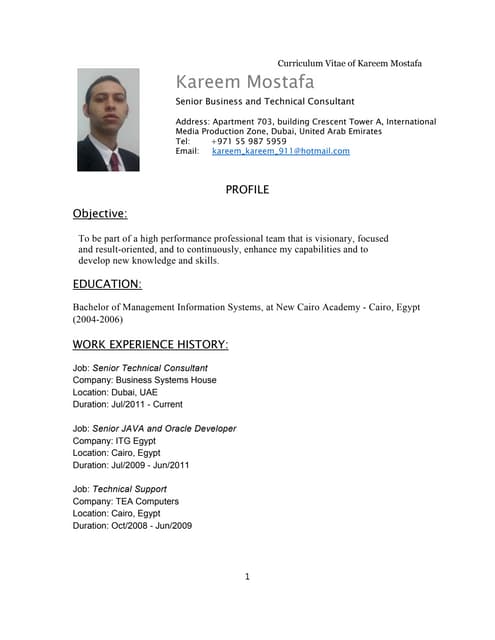 Sw team organization chart