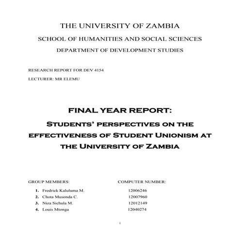 Final Year Research Report | PDF